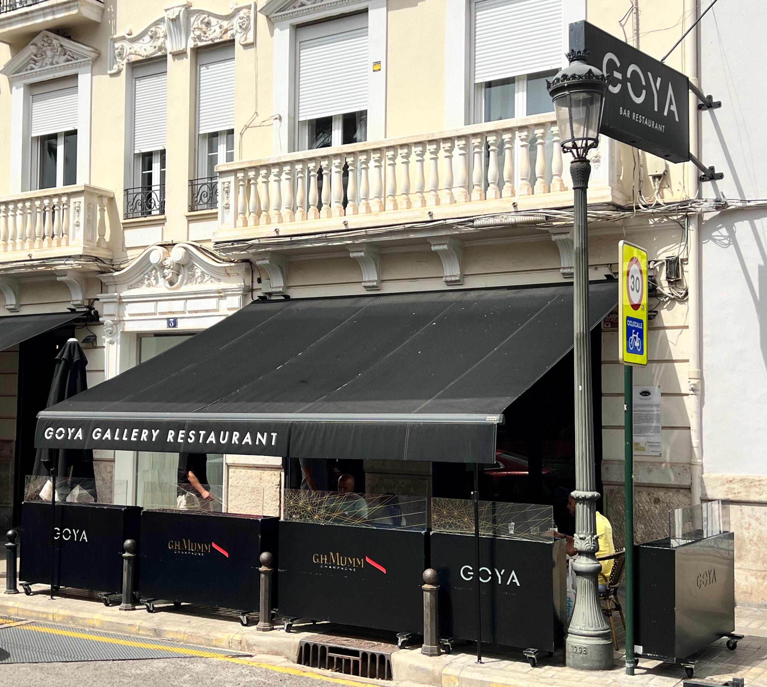 Goya Gallery - Veni Vidi Vici